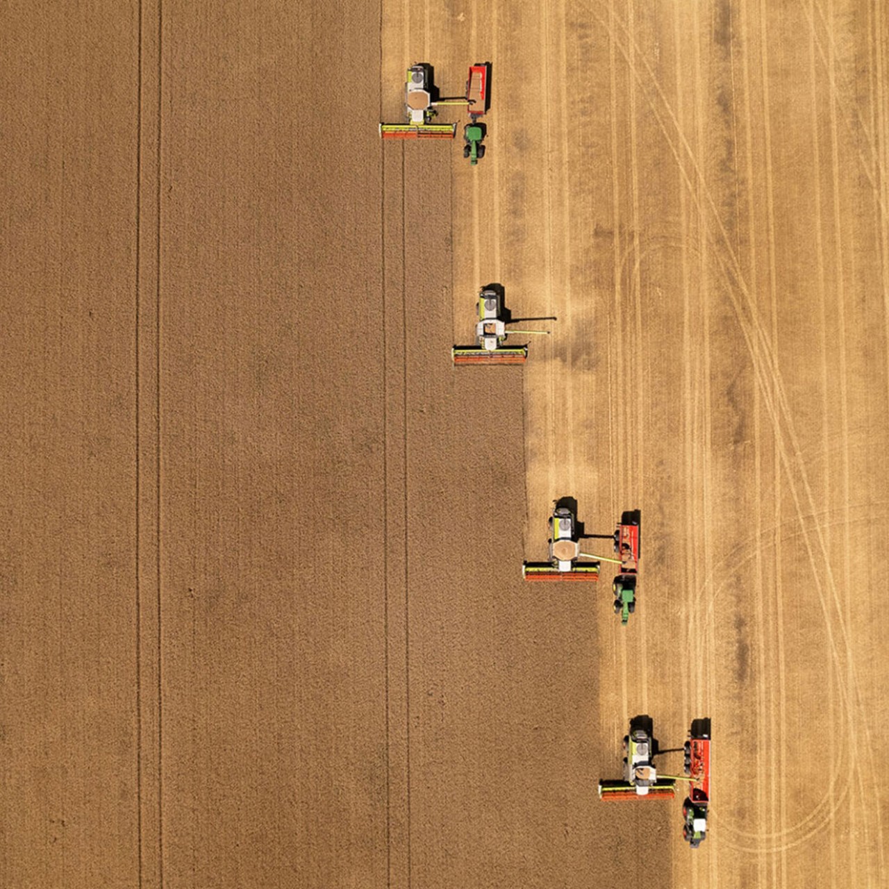 stewardship code signatories